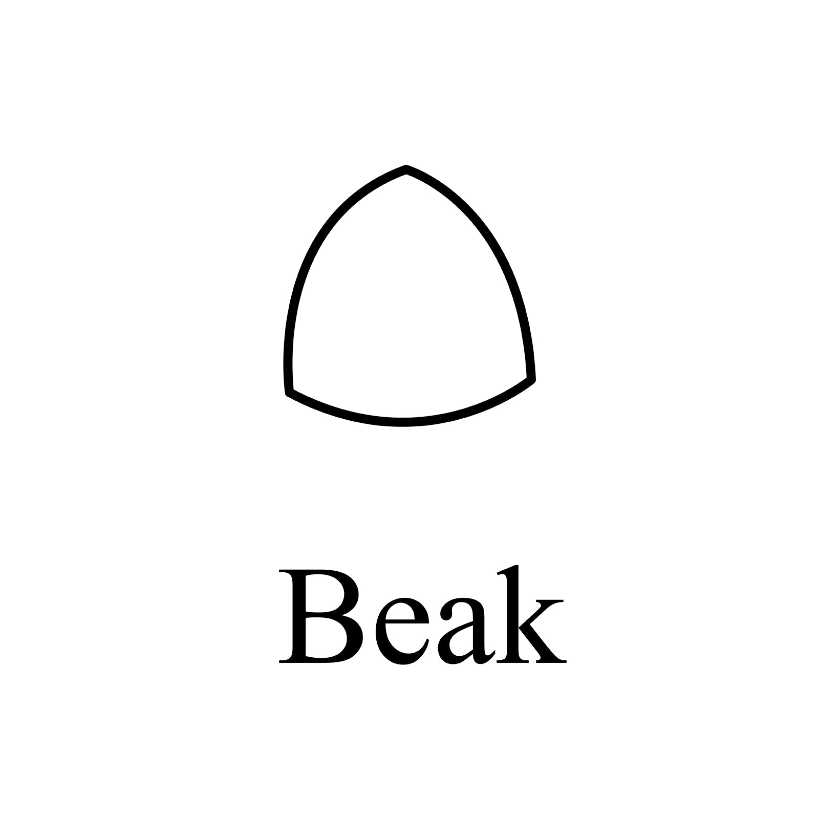 Beak – McIntyre Tile